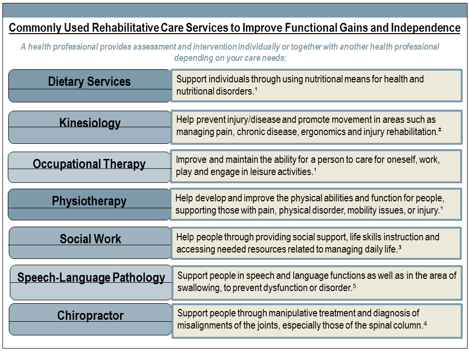 Rehabilitative Care within Mississauga Halton LHIN - Rehabilitative ...
